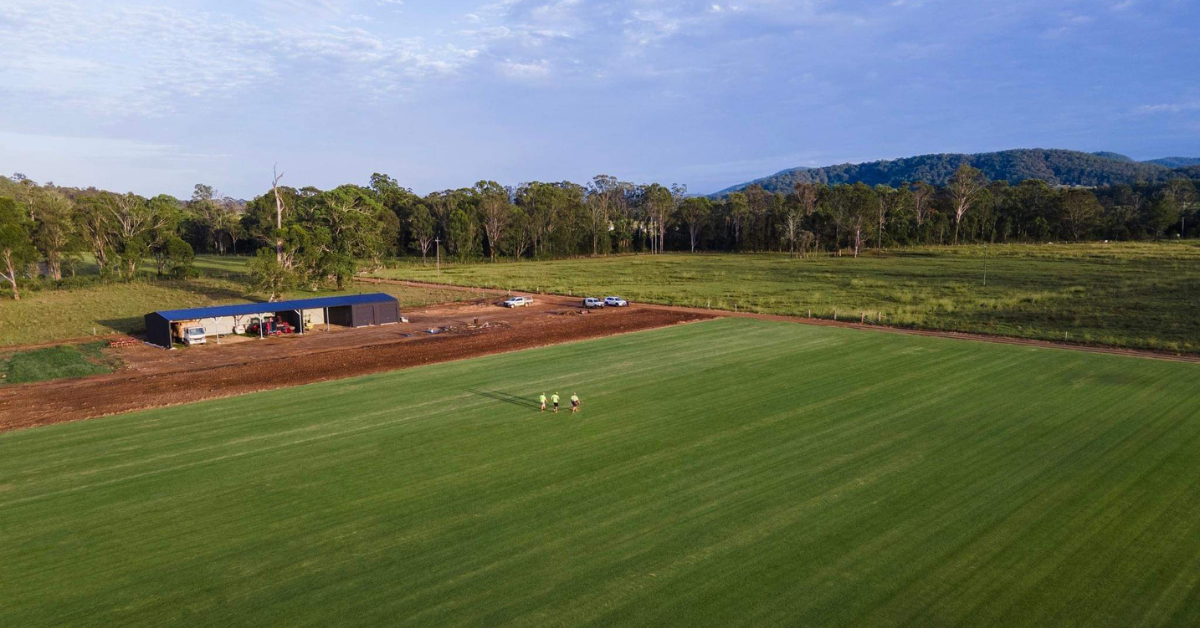 50 Years of Agland Turf - Lawn Solutions Australia