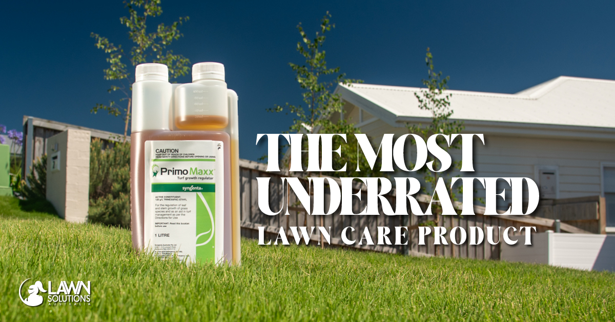 PGRs - Primo Maxx & Primo HG Turf Growth Regulator - Lawn Solutions ...