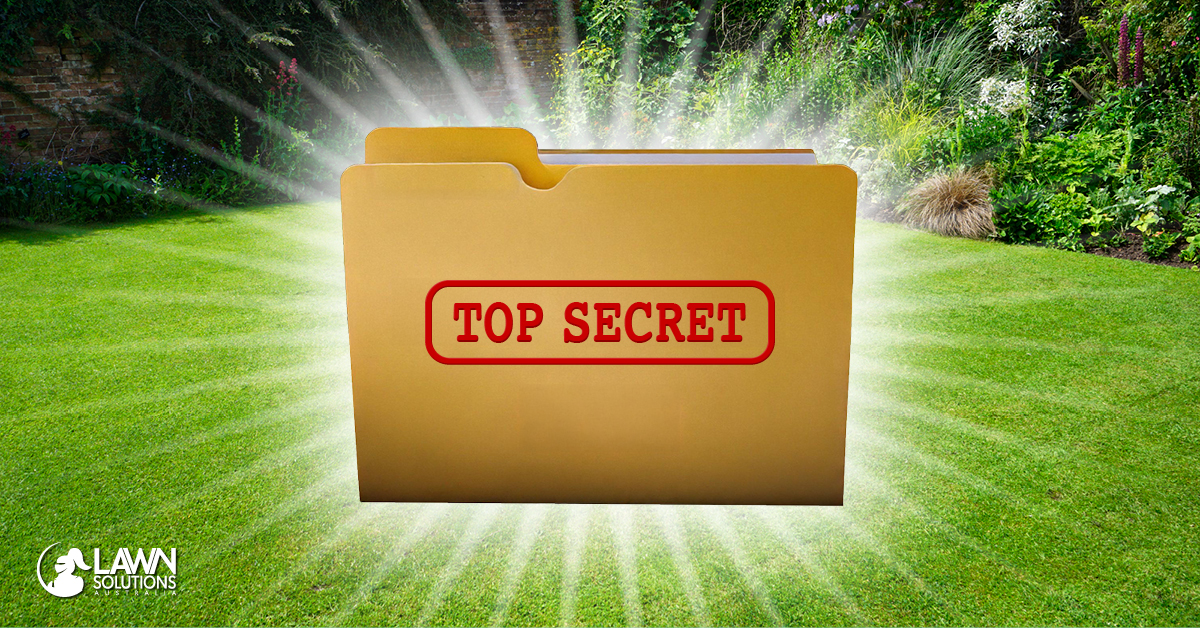 Three of the Biggest Kept Secrets When it Comes to Caring for Your Lawn ...