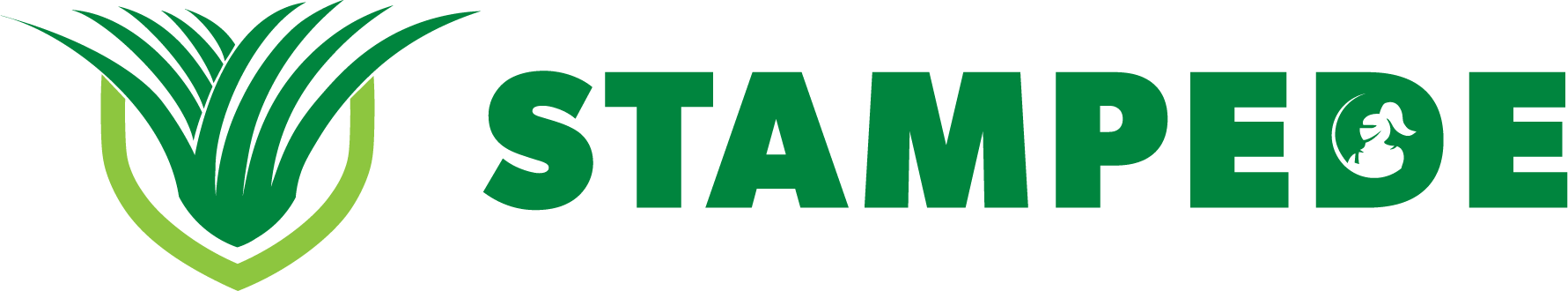 Stampede Hybrid Buffalo Grass - Lawn Solutions Australia