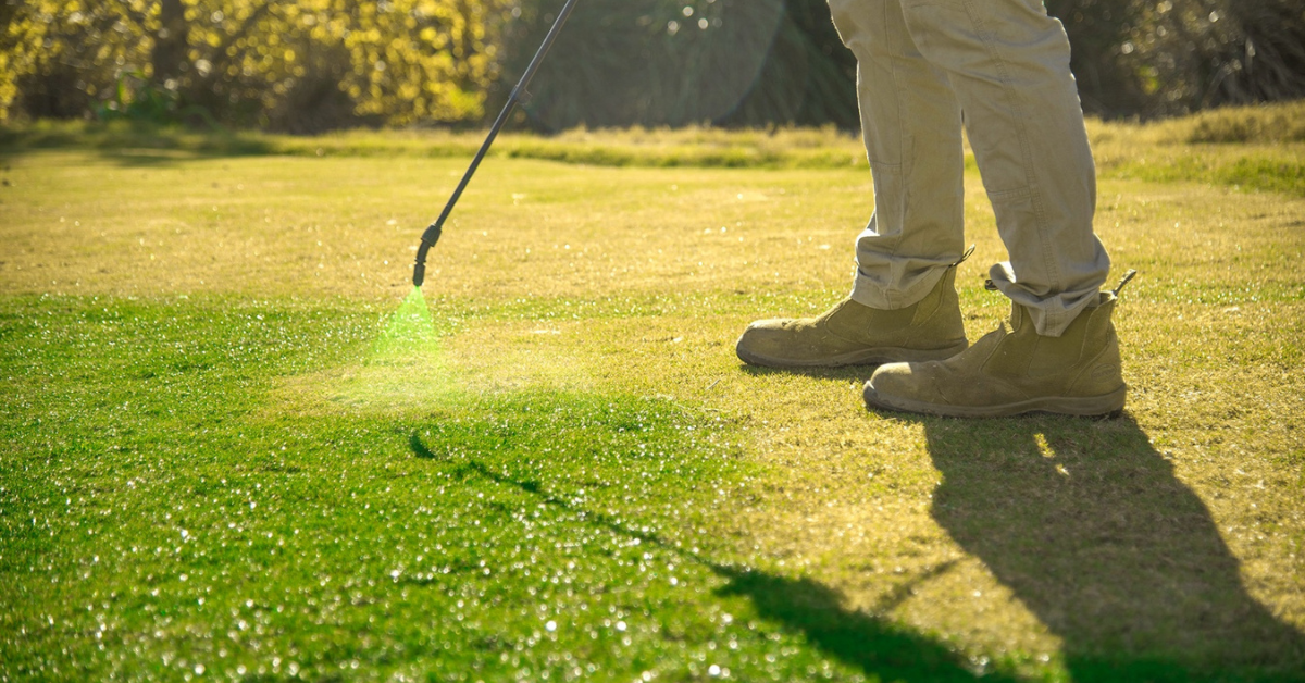 Winter Lawn Care Best Practice - Lawn Solutions Australia