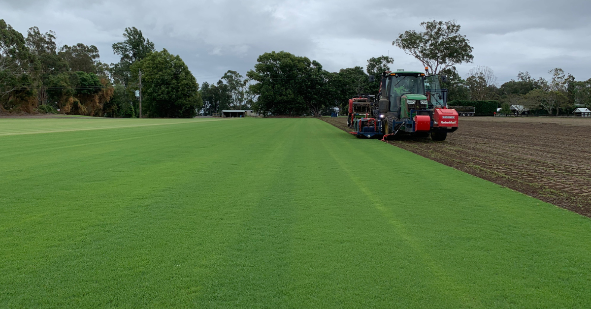 A ‘Hi Quality’ Turf Story - Lawn Solutions Australia