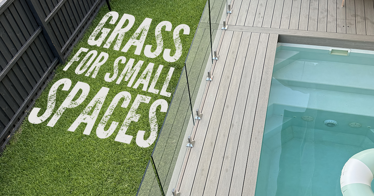 What Is the Best Grass for Small Spaces? - Lawn Solutions Australia