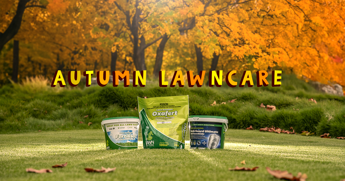 Three Autumn Lawn Care Essentials - Lawn Solutions Australia