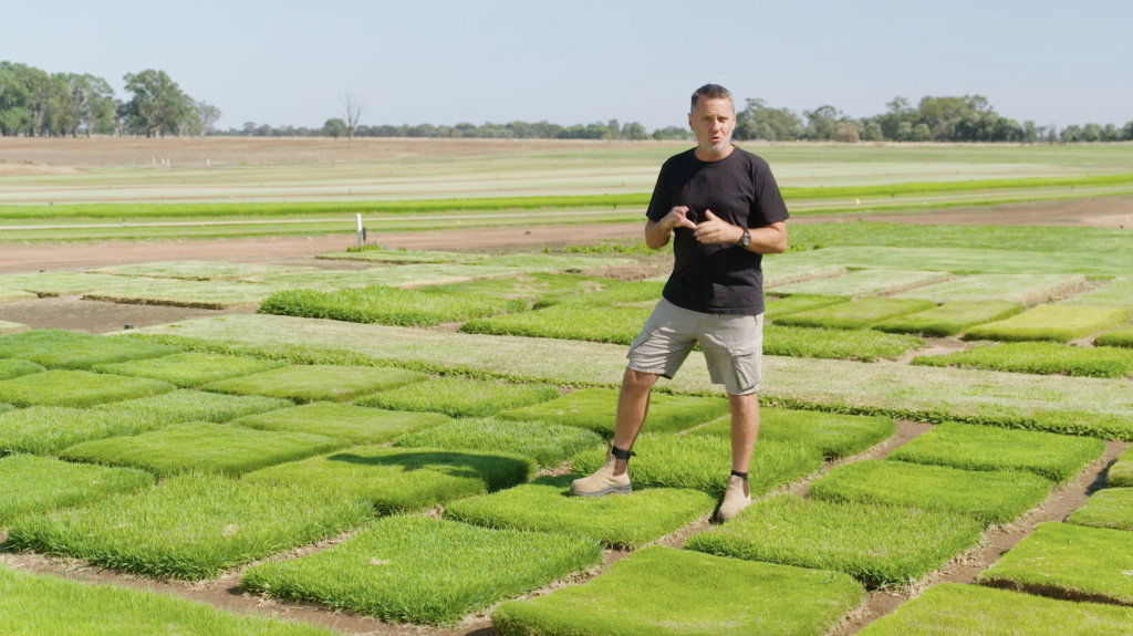 Videos: The Garden Gurus Come to Lawn Solutions Australia - Lawn ...
