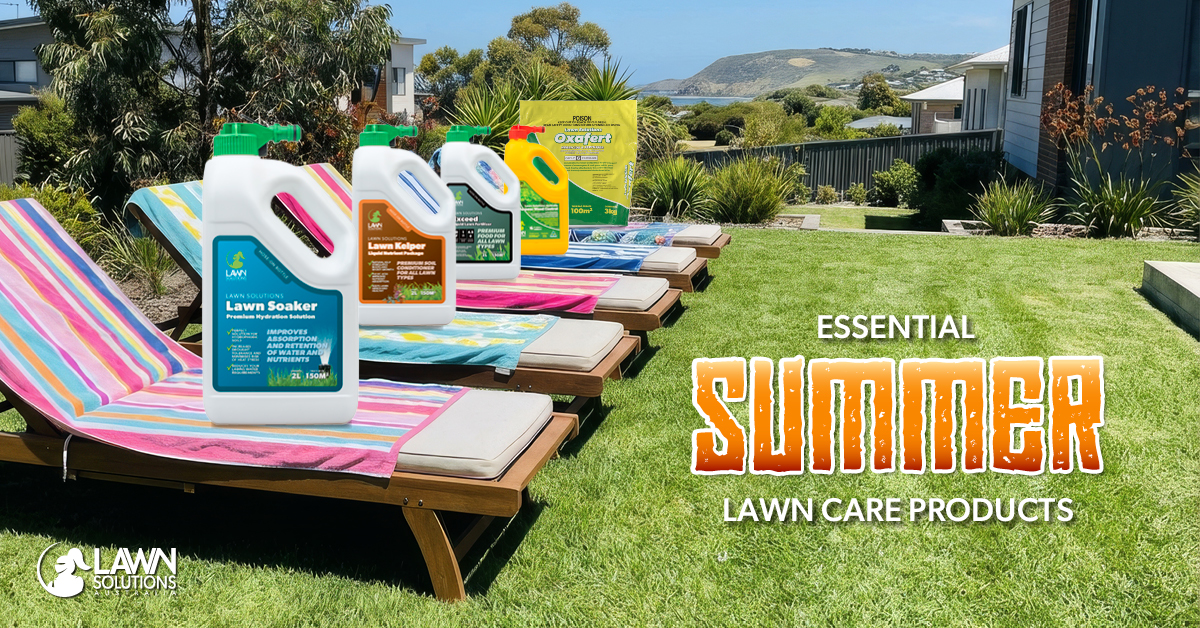 Your Essential Summer Lawn Care Products - Lawn Solutions Australia