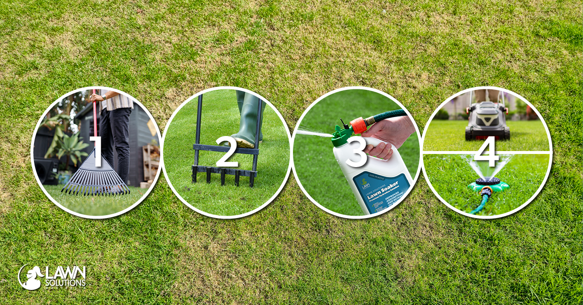 How to Help a Dry and Patchy Lawn - Lawn Solutions Australia