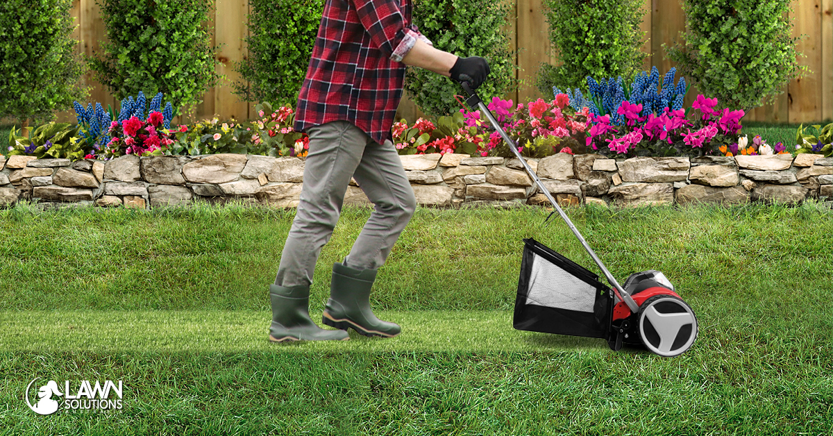 3 Simple Steps to Improve Your Lawn Game - Lawn Solutions Australia
